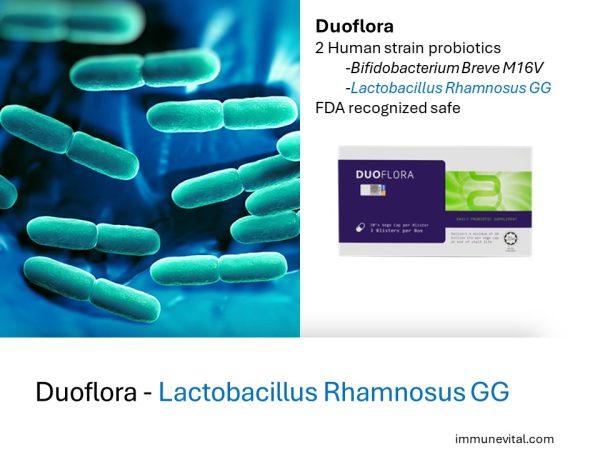 Top Benefits of Lactobacillus Rhamnosus GG for Eczema, Gut Health & More