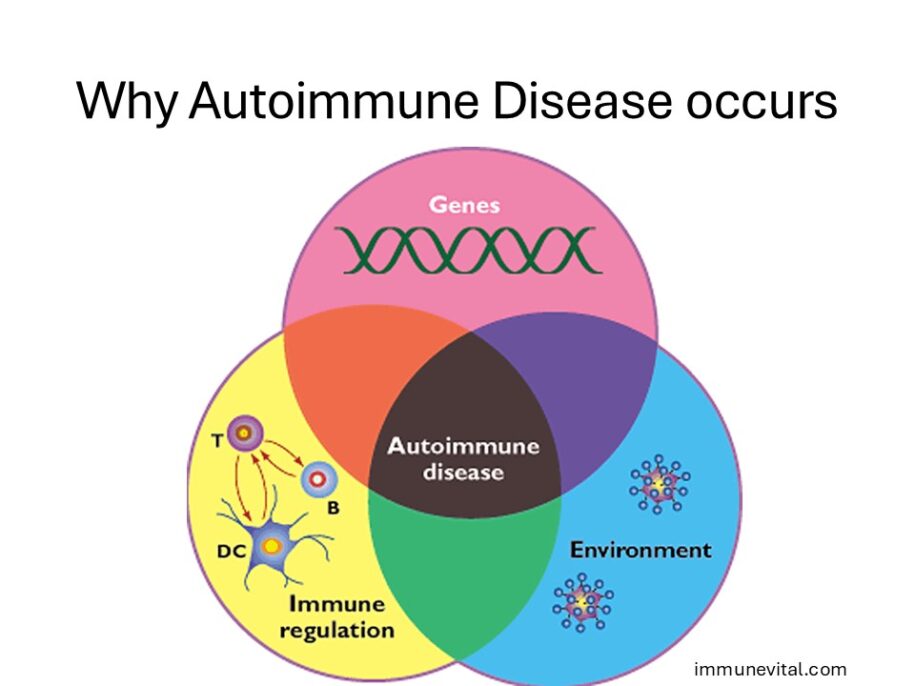 Combat Autoimmune Diseases Naturally with Txao | Immune Support Supplement
